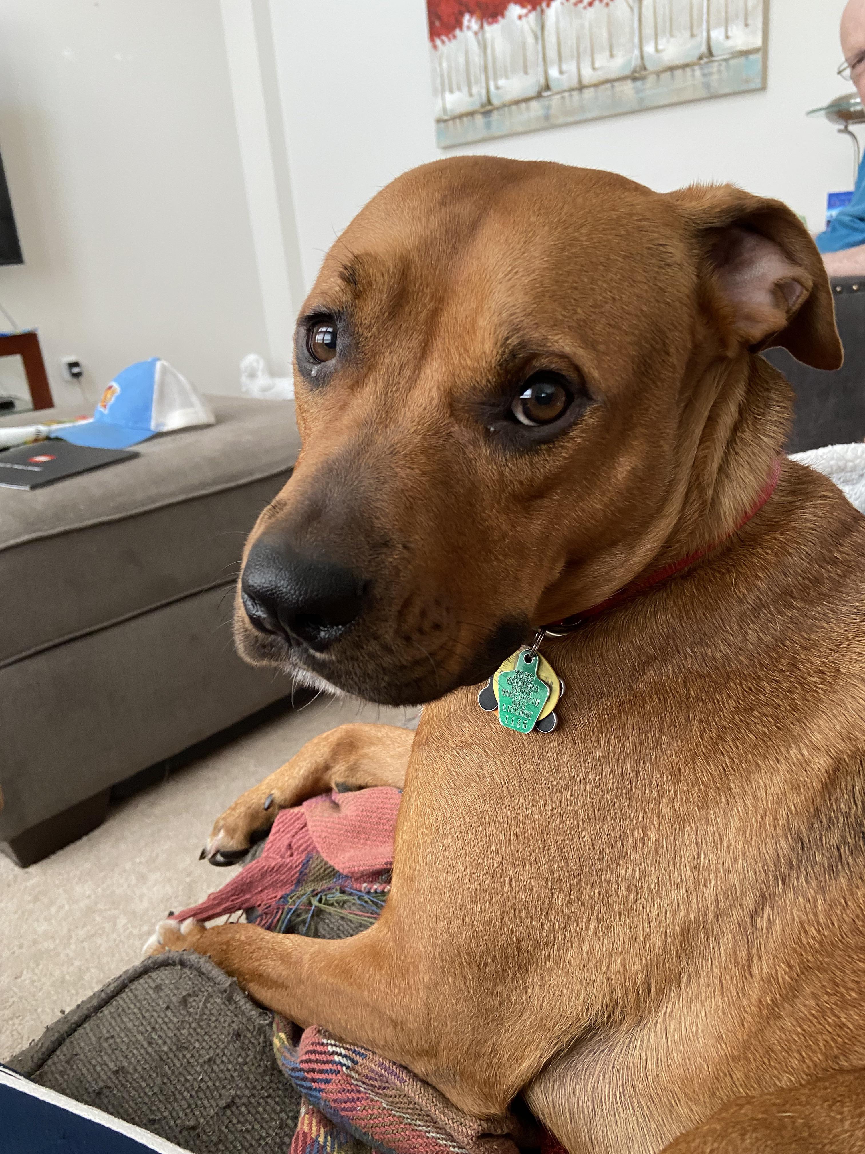 This is Theodore | Scrolller