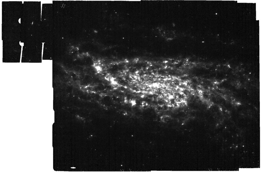 A new raw James Webb Space Telescope image has observed the spiral galaxy NGC 3137. | Scrolller