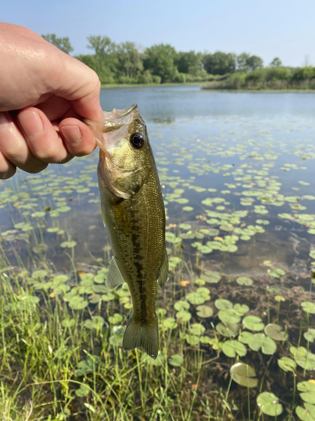 New PB ! | Scrolller