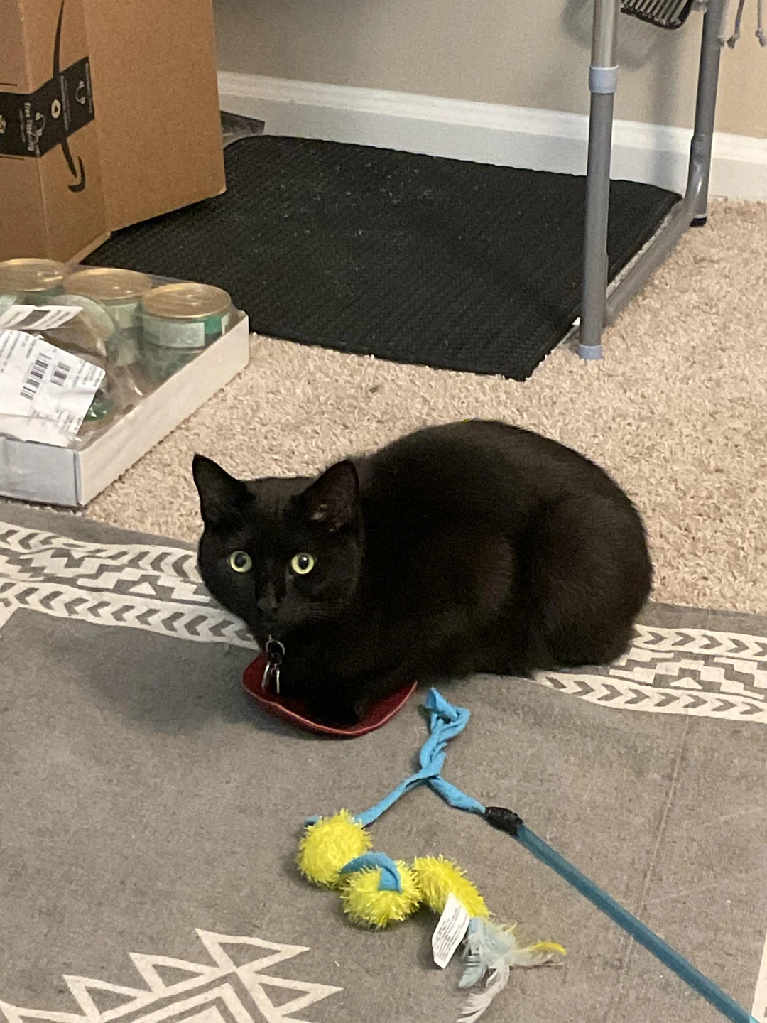 Bentley Has Been Booby Trapped Scrolller