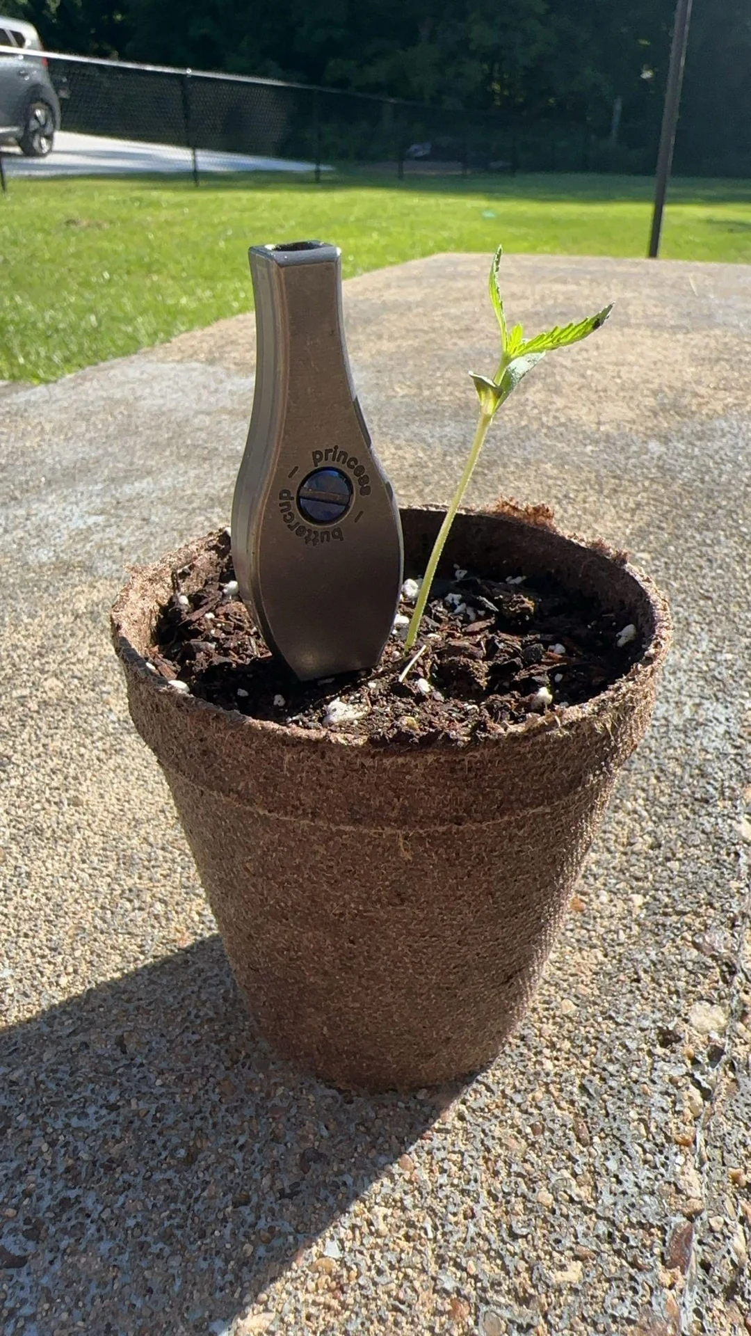 Looking for recommendations | Scrolller