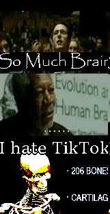 What if we are use all of these brain? | Scrolller