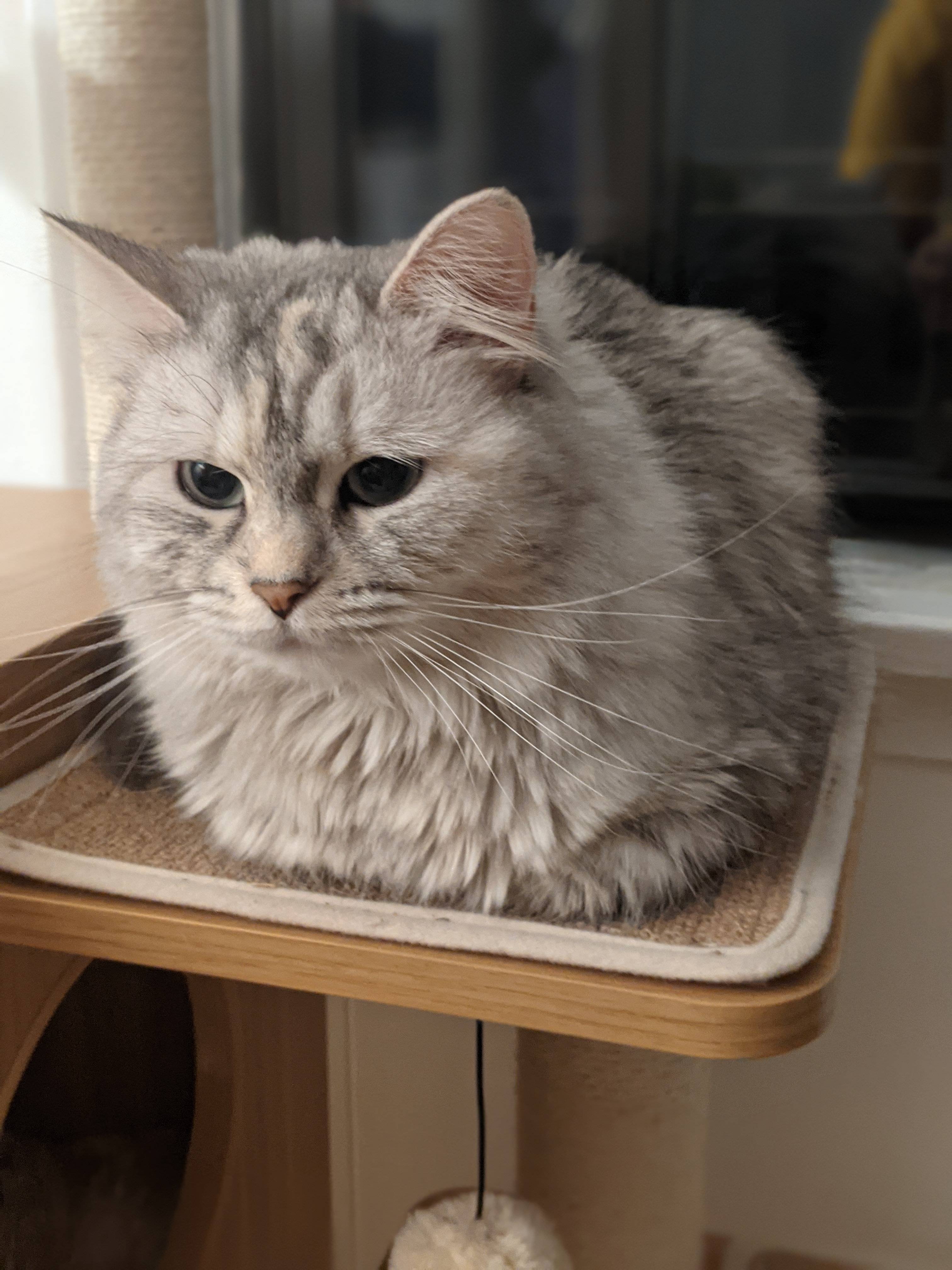 Why is she so square? | Scrolller