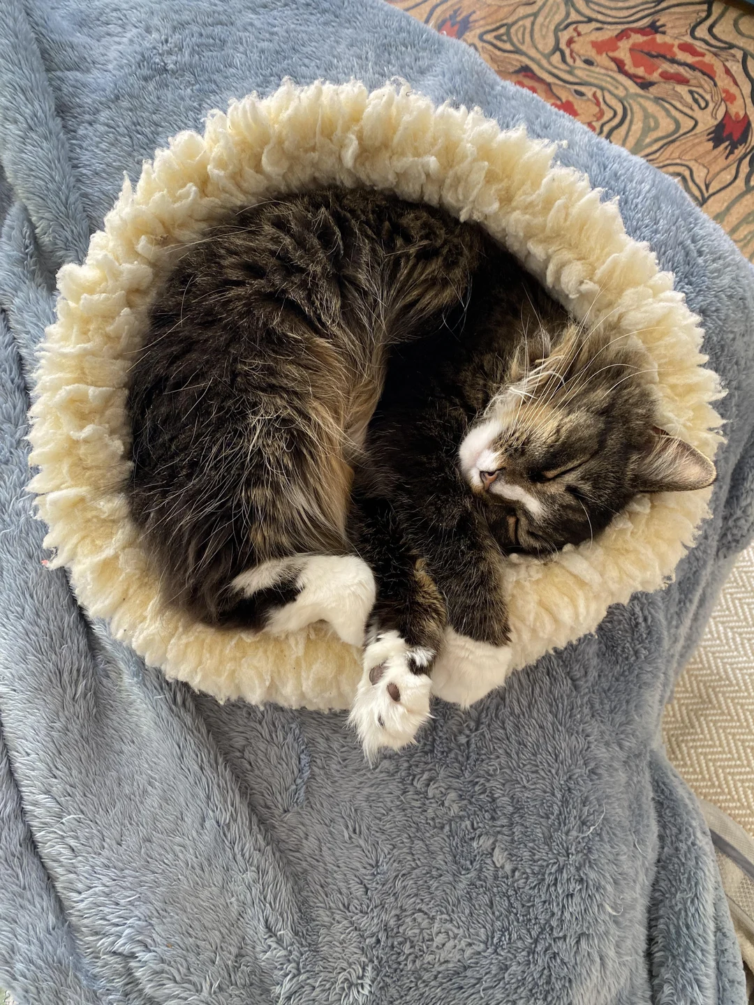 Floof roll | Scrolller