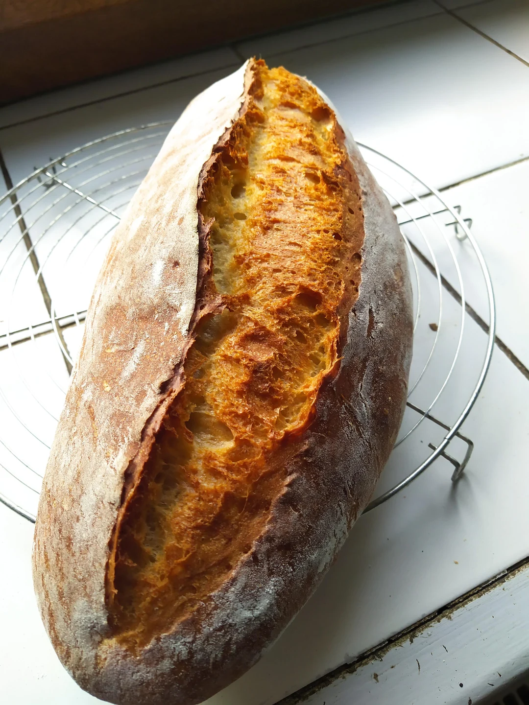 New attempt : Kamut bread in an electric oven | Scrolller