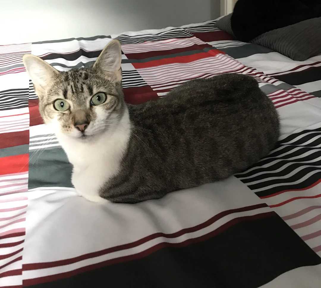 Startled Loaf | Scrolller