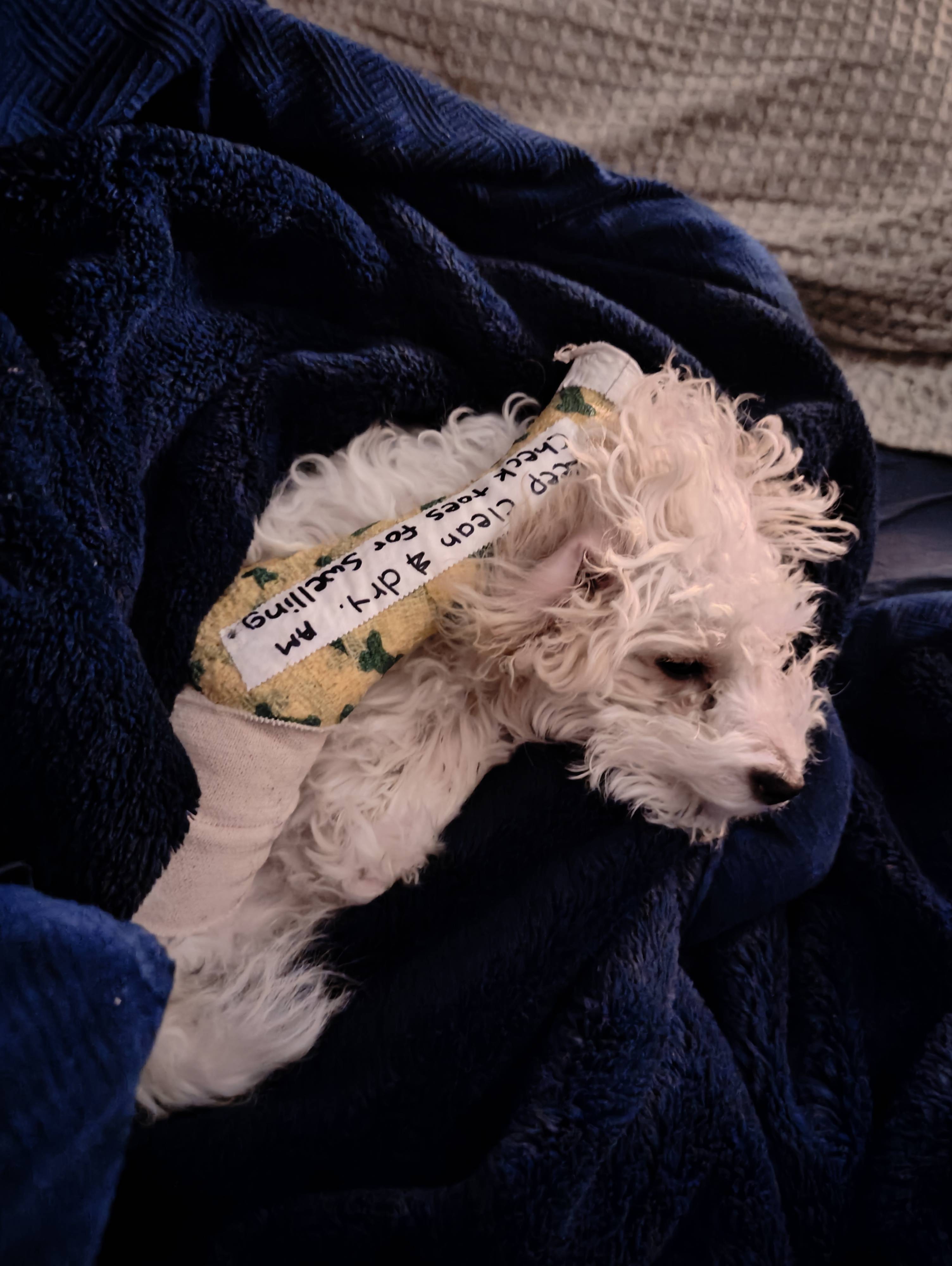 Literally broken =[ | Scrolller