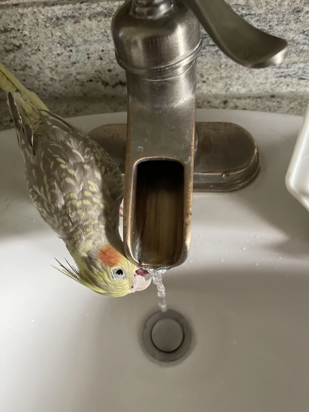 She loves this faucet | Scrolller