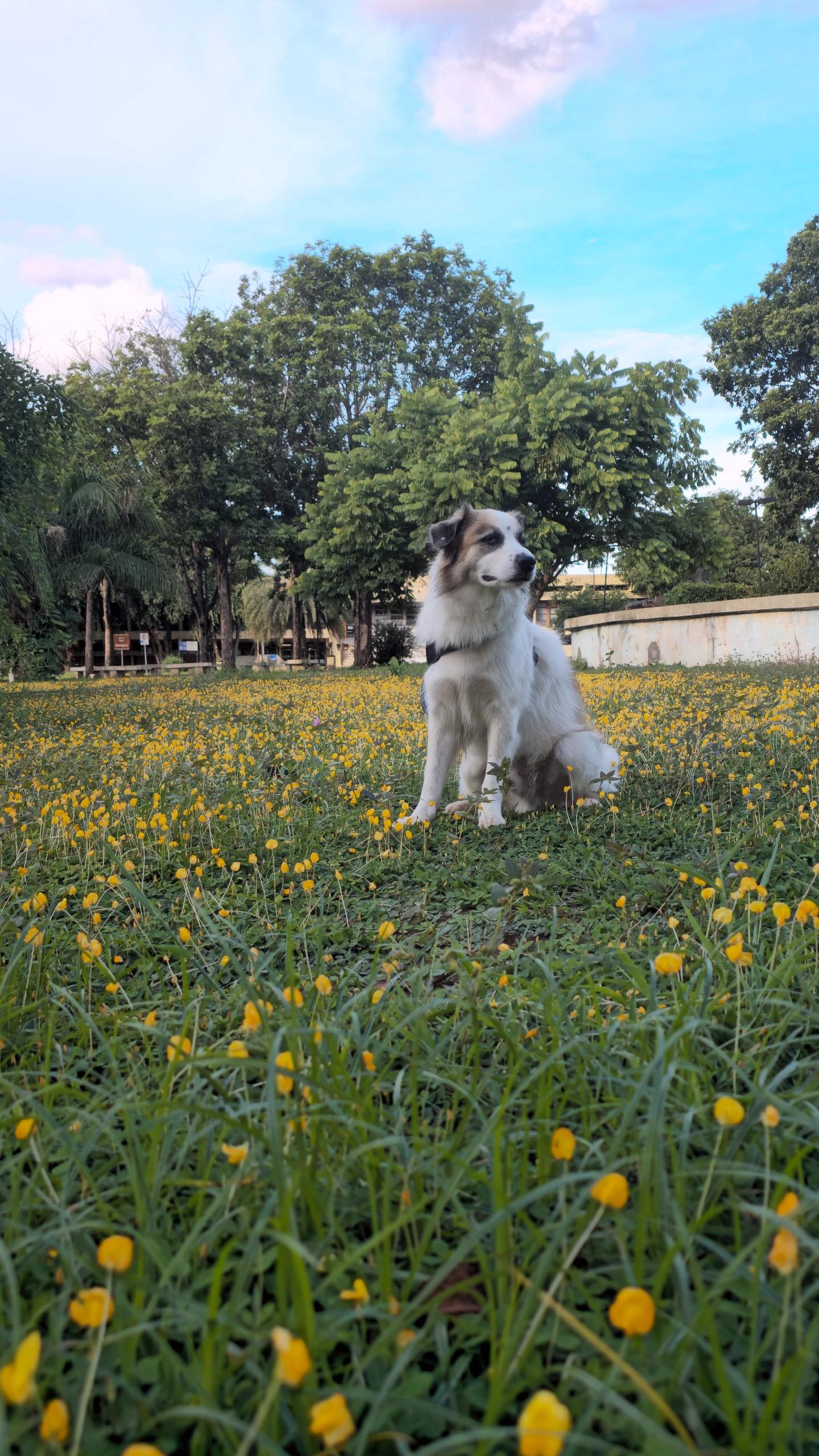 He knows how to pose all serious, but he's actually 110% a goofball. | Scrolller