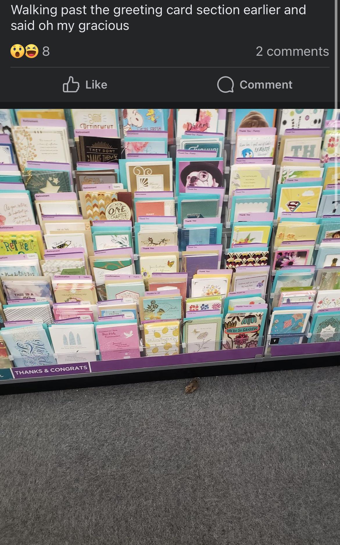 CongRATs? | Scrolller