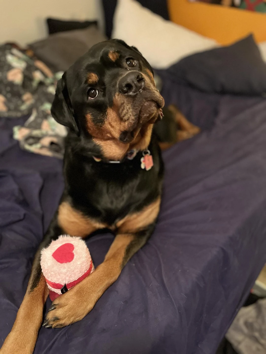 Happy Valimtimes Day (A bit late…) | Scrolller