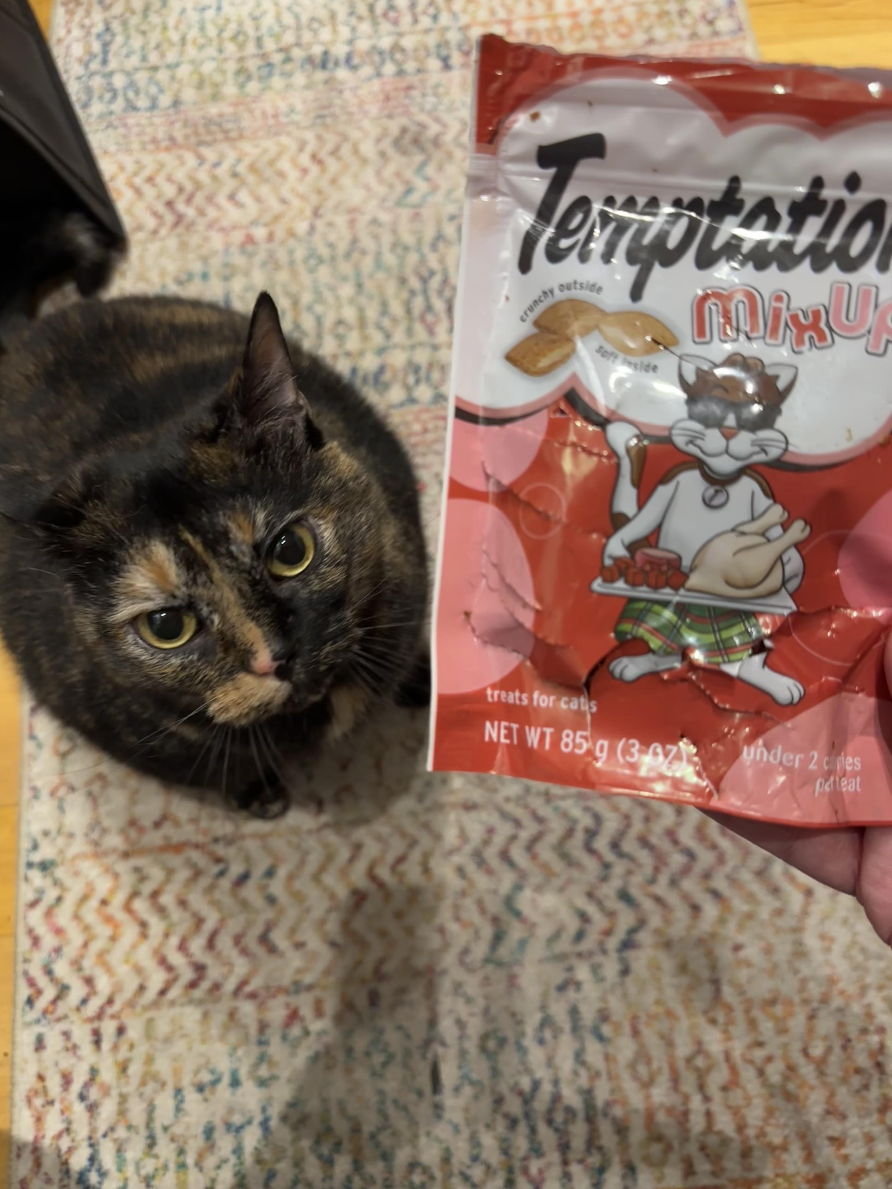 Meet Daisy! | Scrolller