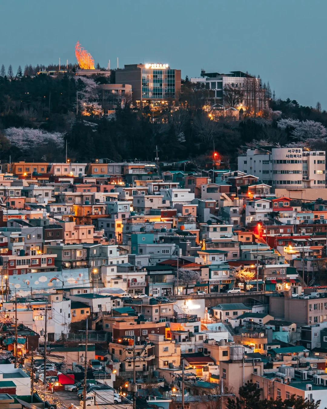 Busan, South Korea | Scrolller