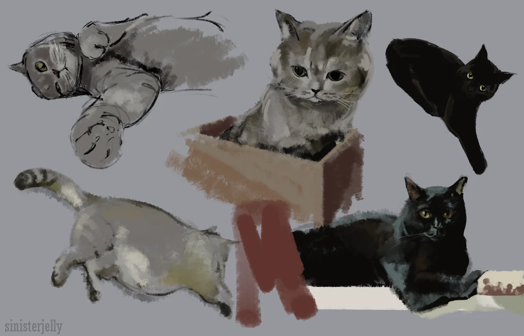Studies of my friend's cats, me, digital, 2020 | Scrolller