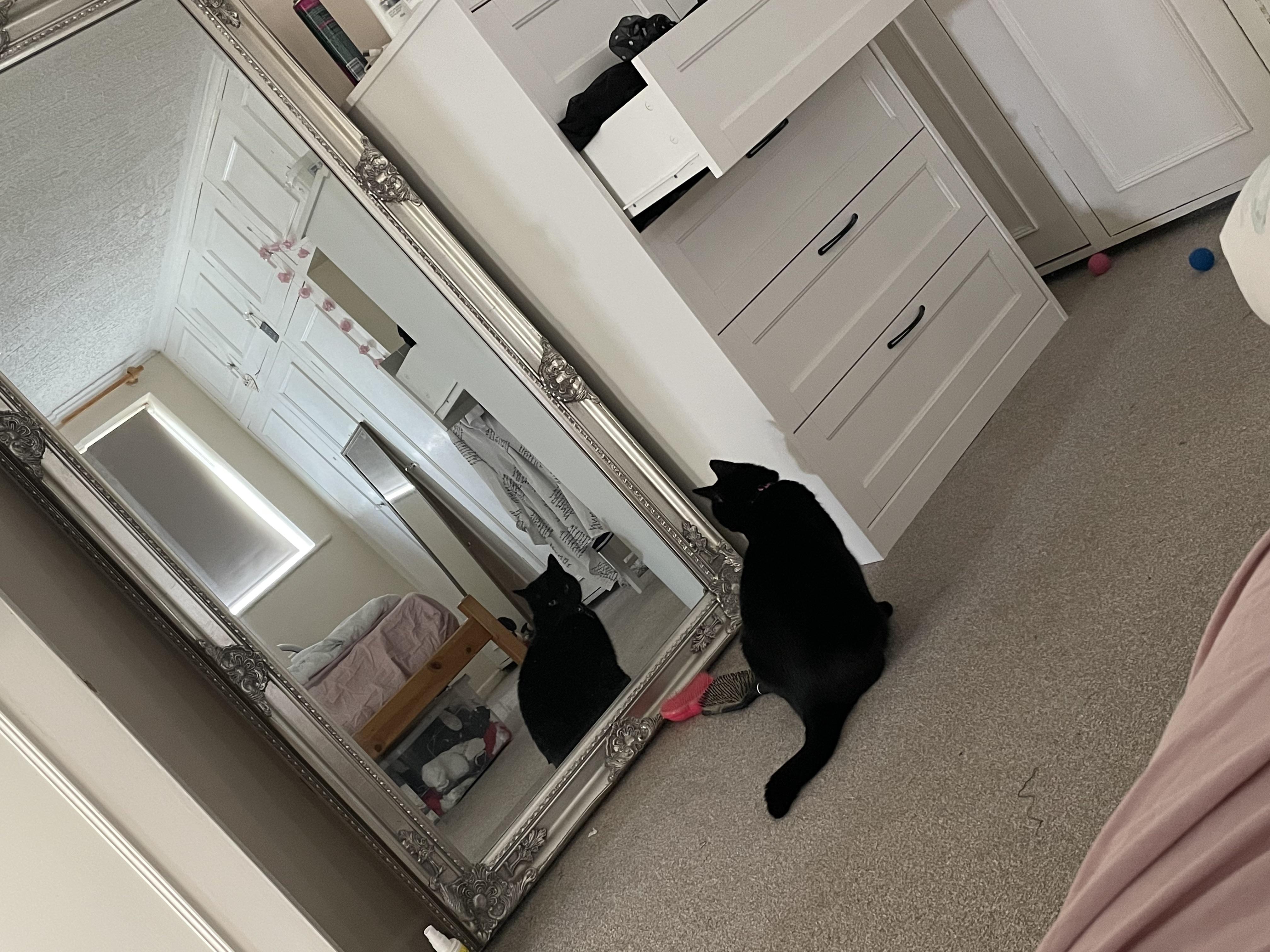 Lilo is admiring herself | Scrolller