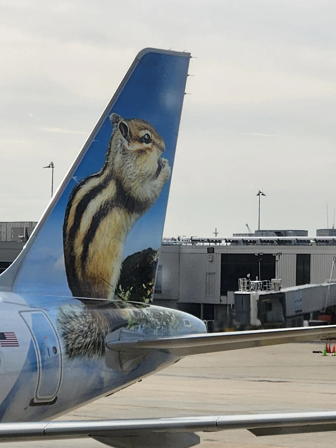 Squirrel Plane | Scrolller