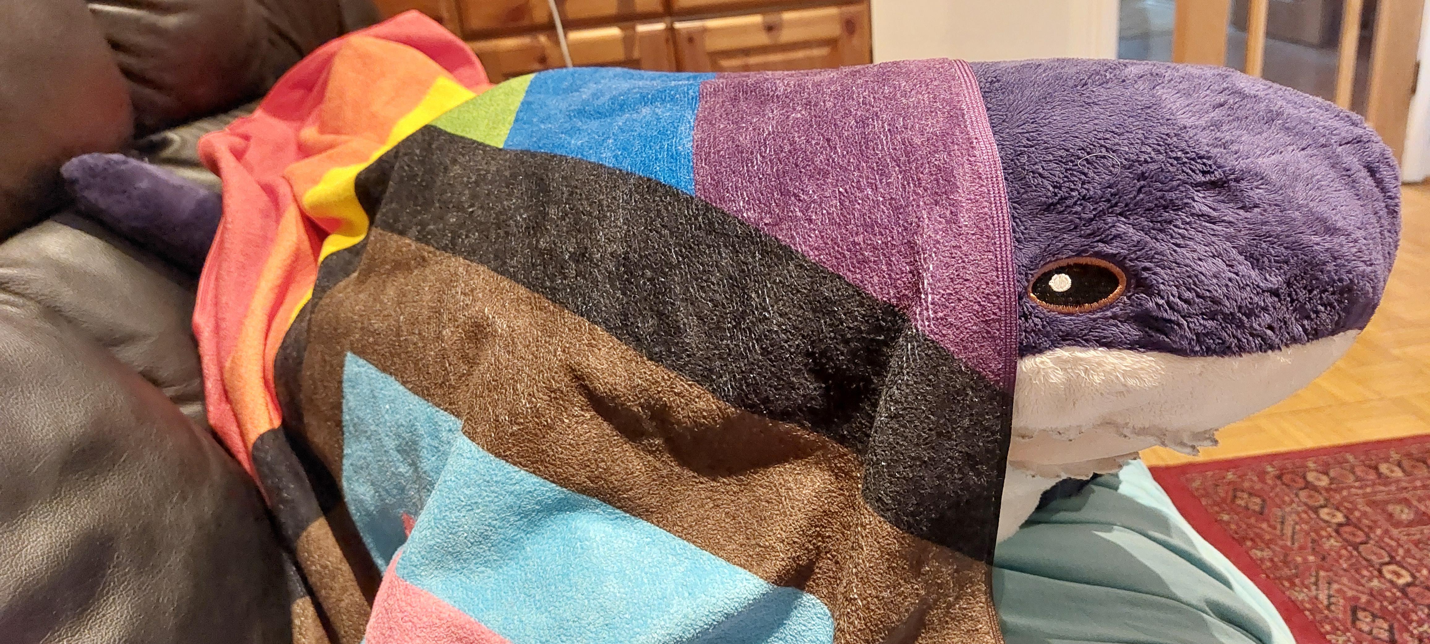 Progress shark | Scrolller