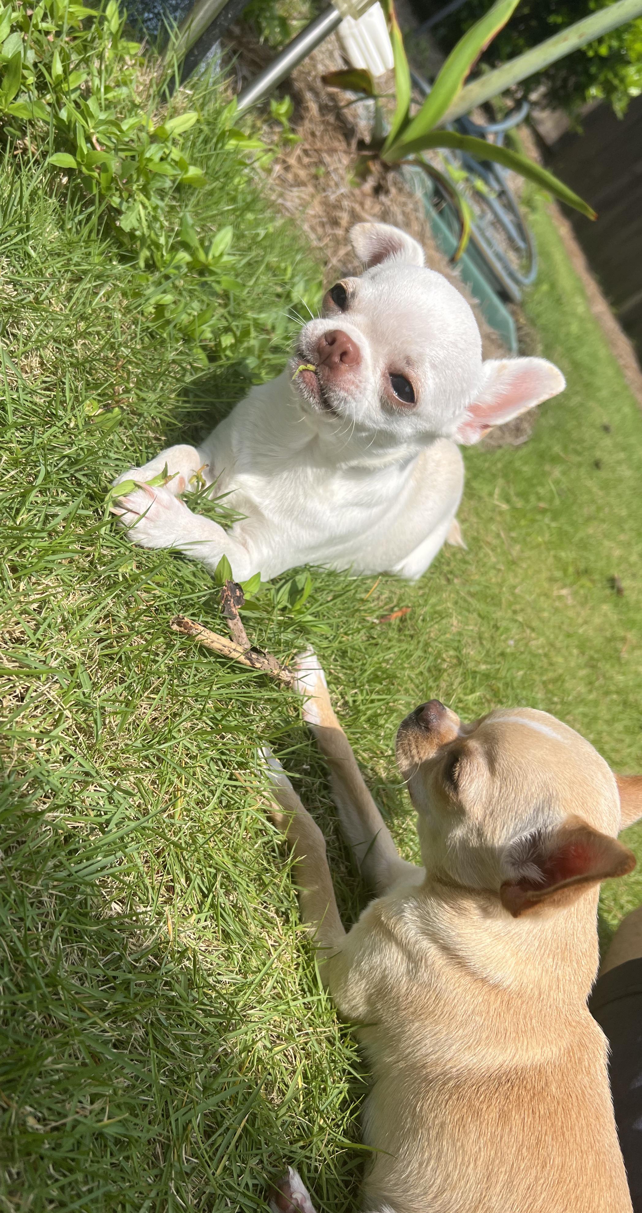 Sly Little Guy | Scrolller