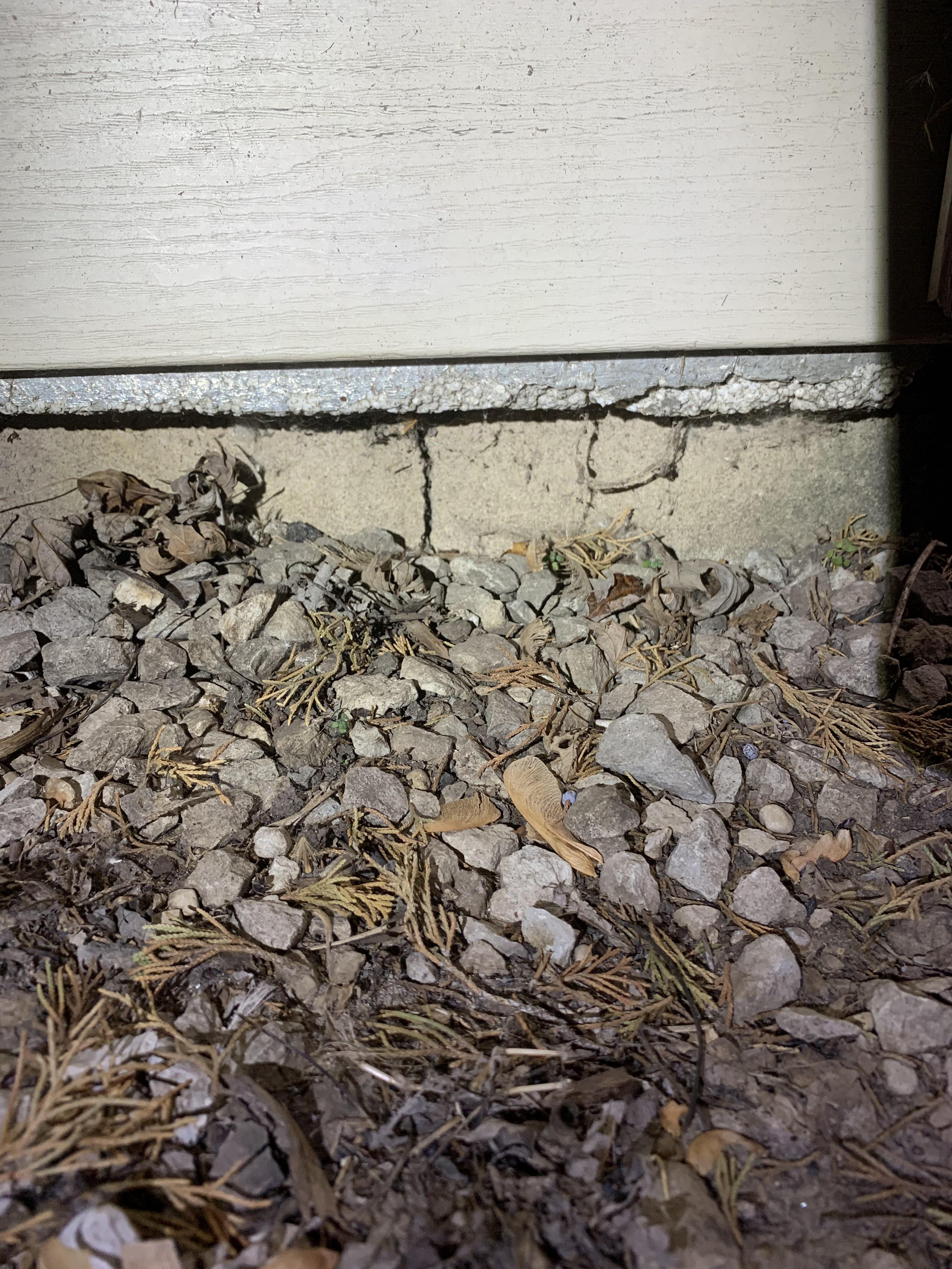 Discover more like Home: House on concrete slab and Related Content | Scrolller