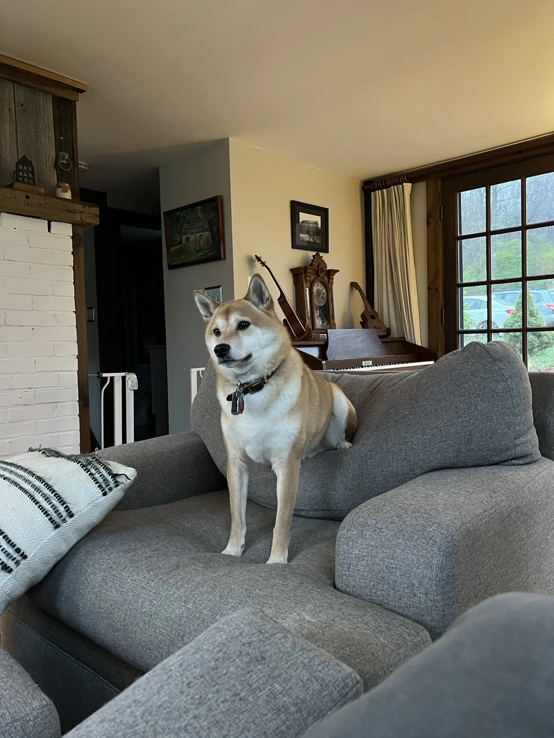 Koji seems...comfortable? | Scrolller