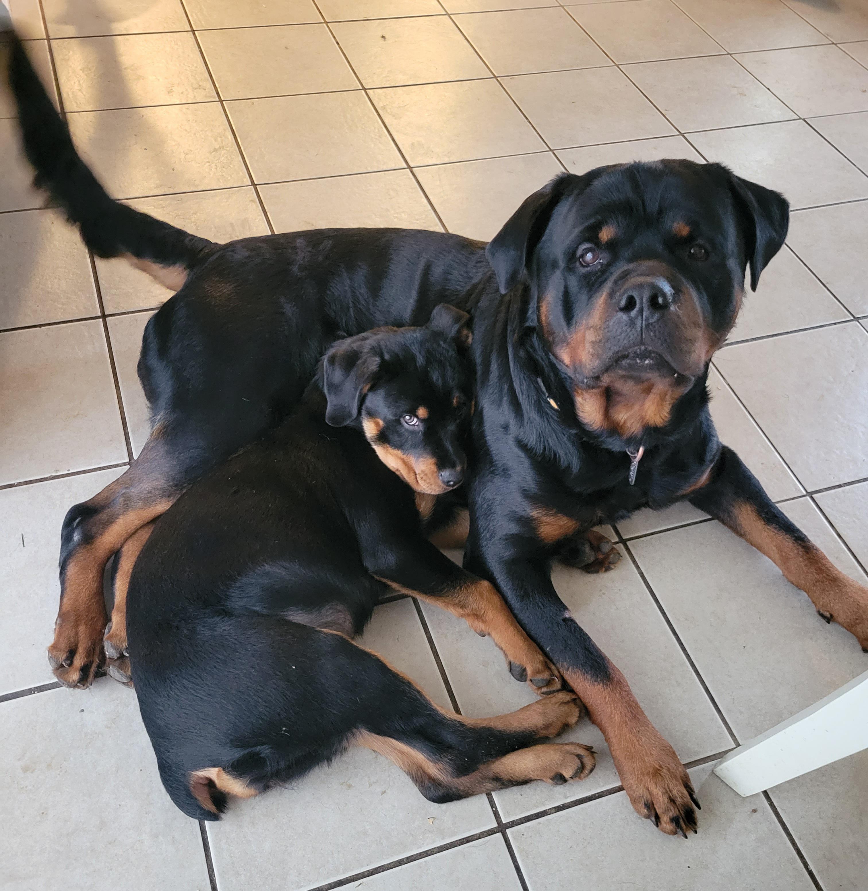 "Back off ladies, he's mine!" | Scrolller