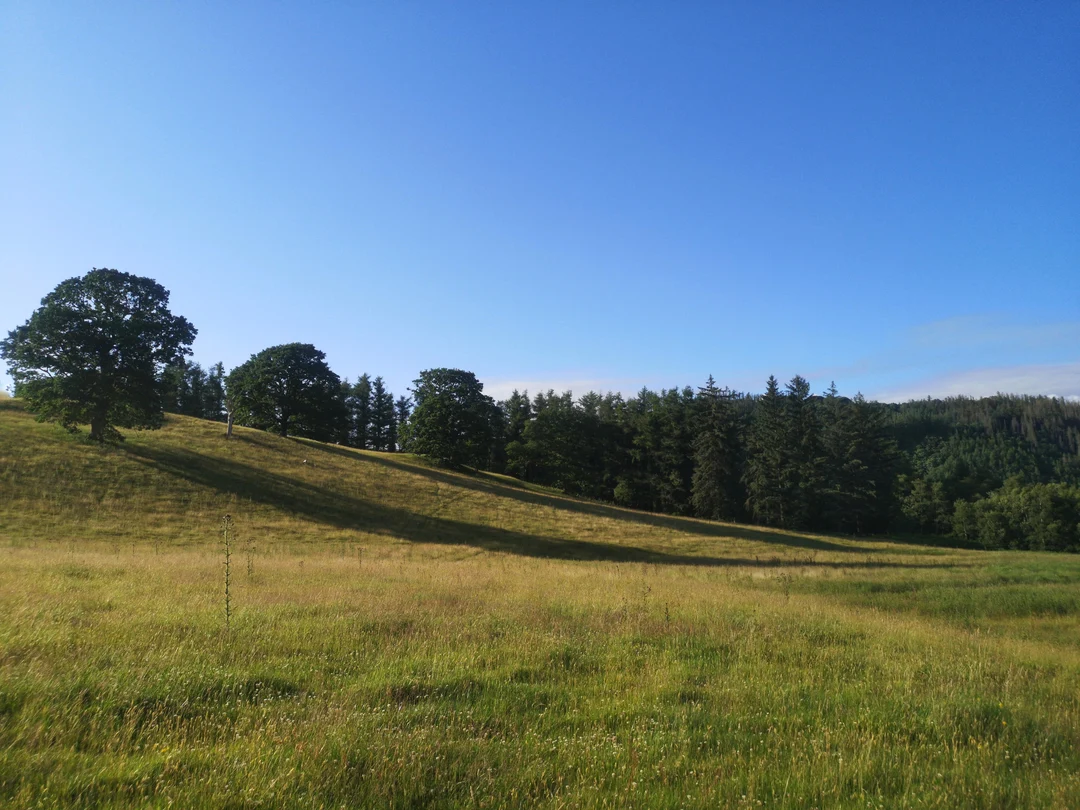 Rolling hills in mid Wales, UK | Scrolller