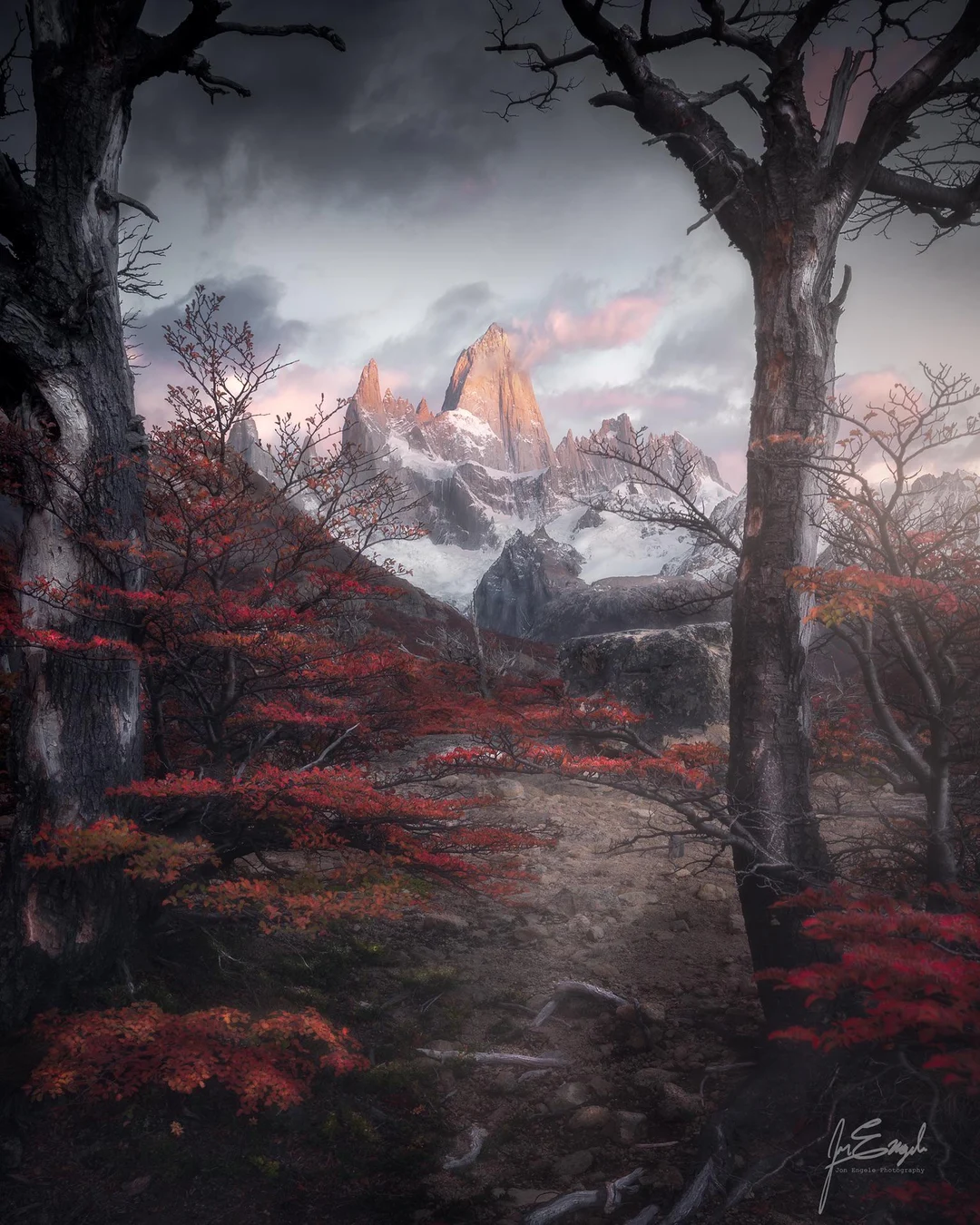 Fitz Roy in Patagonia seen through the trees [OC] [1920x1536] | Scrolller