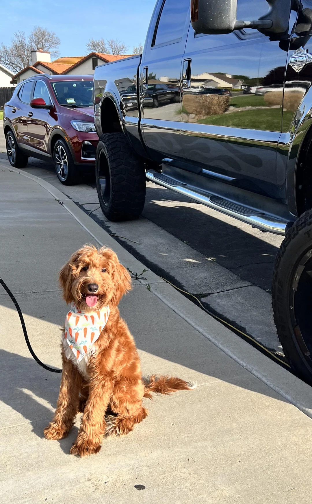 “Benji smile for the picture”:) | Scrolller