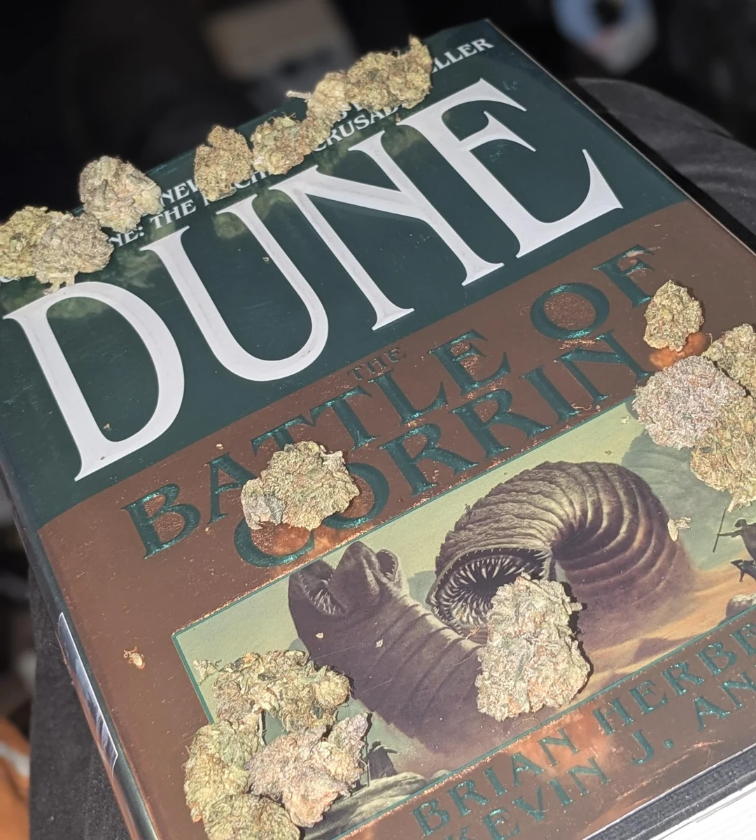 Dune (Modern-Day spice) SFV OG & Blue Dream | Scrolller