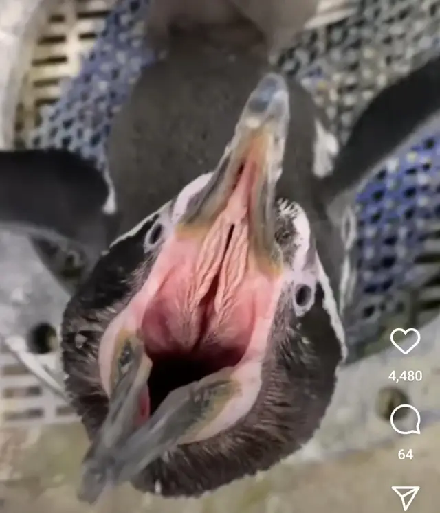 got deleted | Scrolller