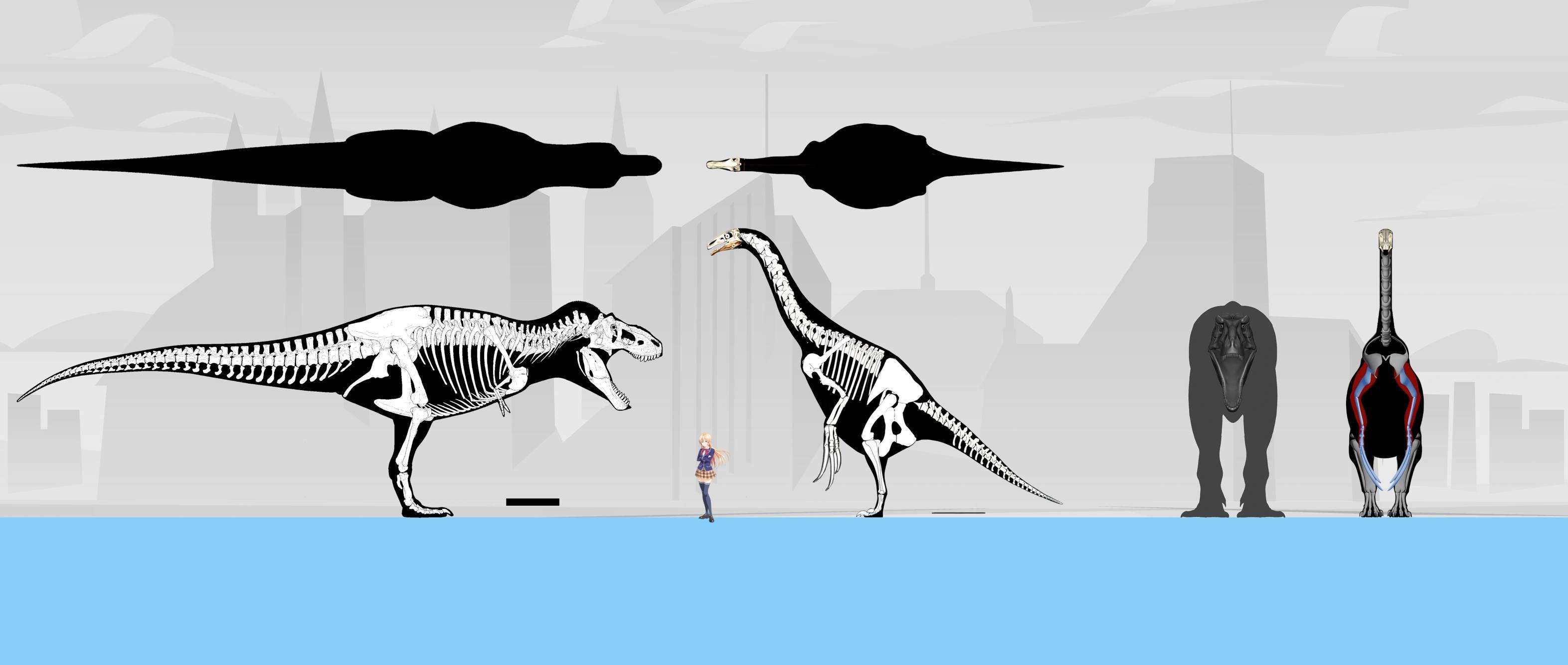 T. rex vs. Therizinosaurus: size comparison | Scrolller
