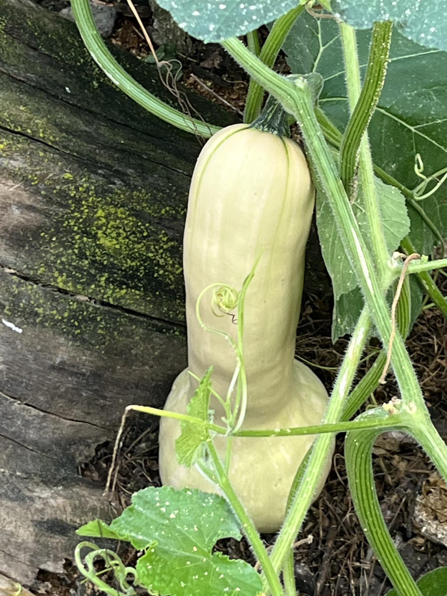 Is this average? | Scrolller