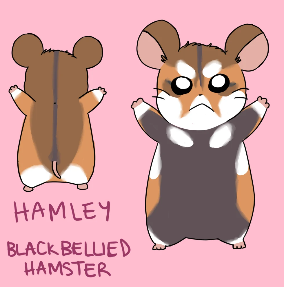 made a simplified ref for a black bellied ham ref :D | Scrolller