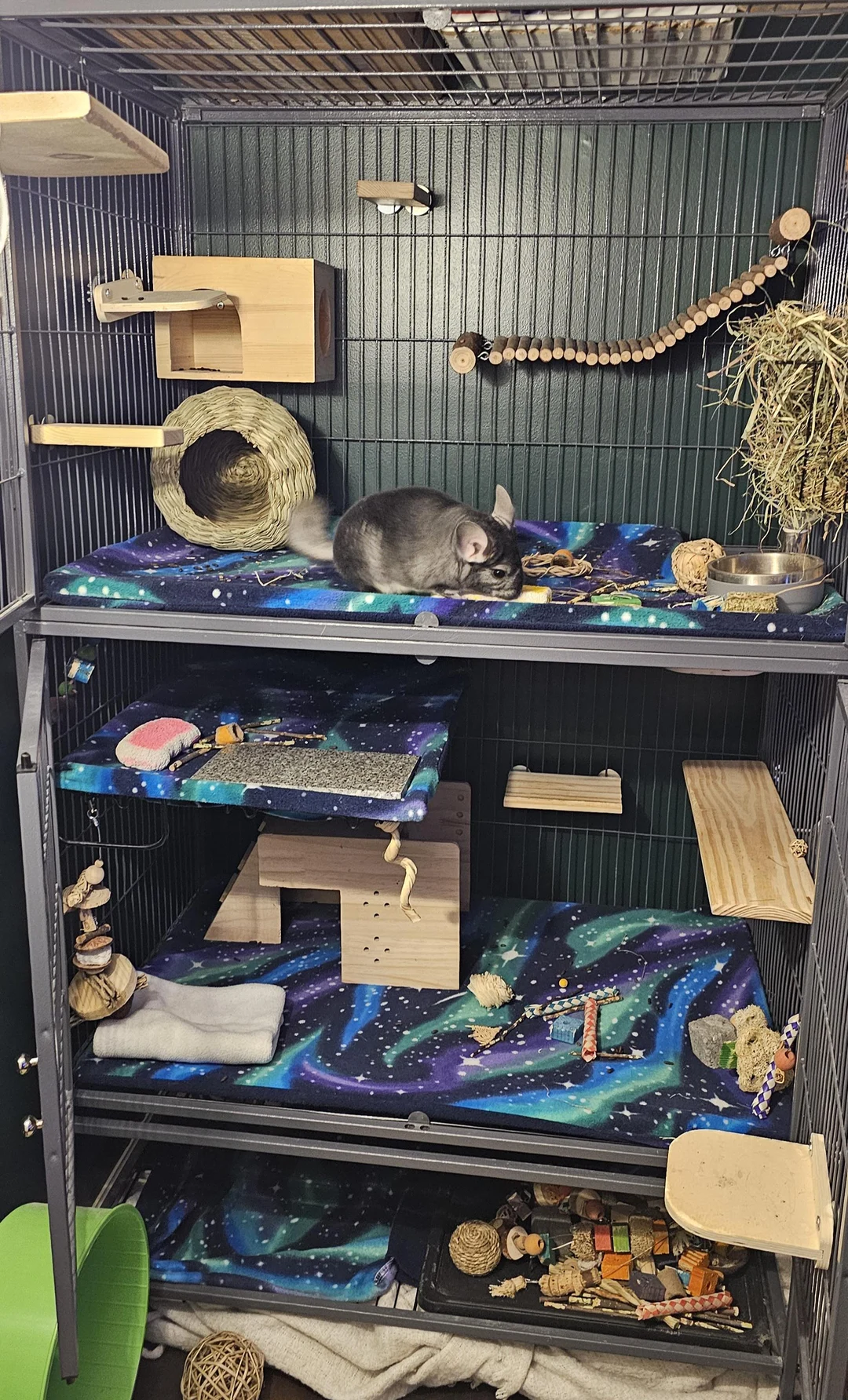 Cage set up opinions | Scrolller