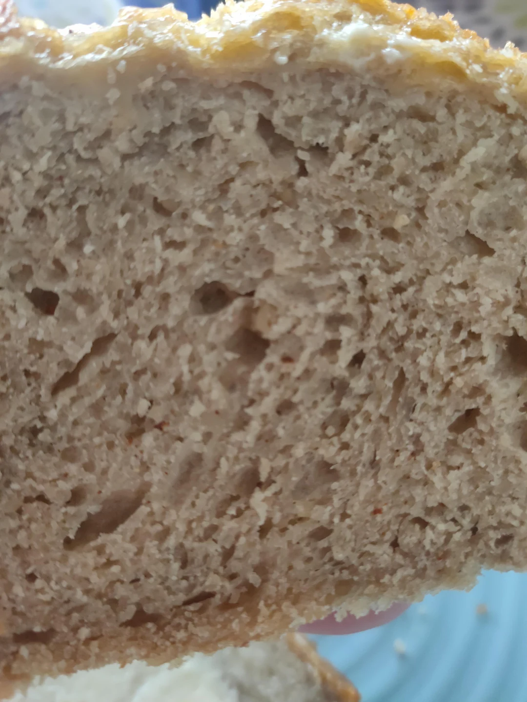 How to make bigger bubbles and a more airy texture? Mom didn't like crumb this dense | Scrolller
