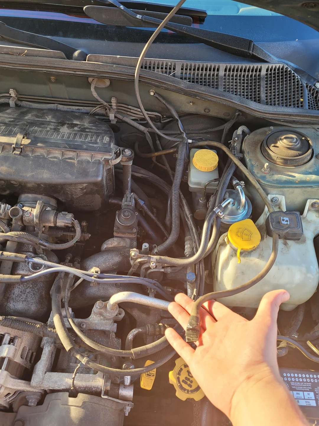 What is this wire? | Scrolller