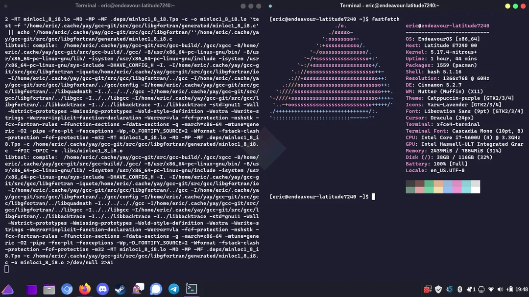 [Cinnamon] Elegant Chaos | Scrolller