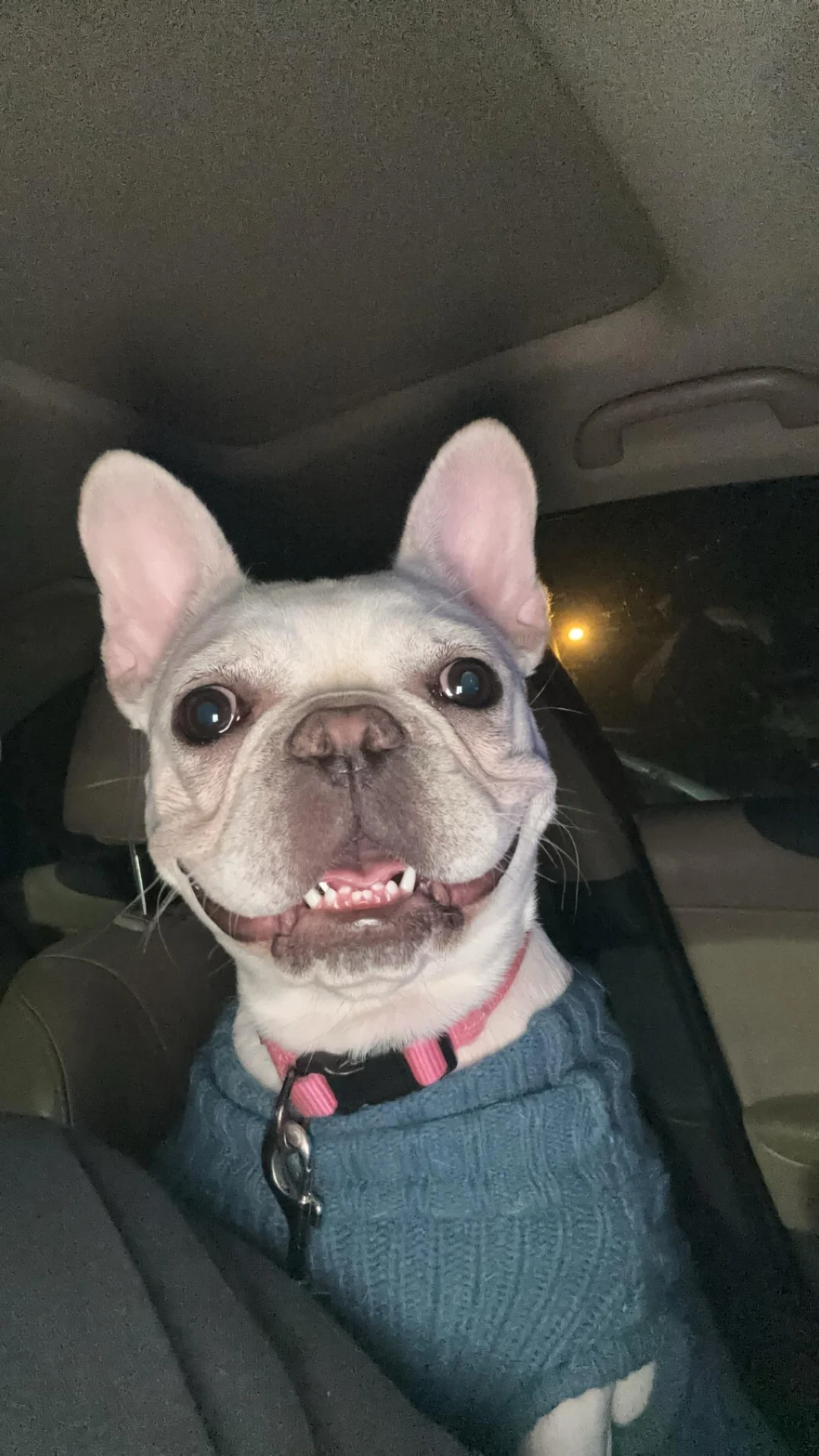 Jumpscare warning | Scrolller