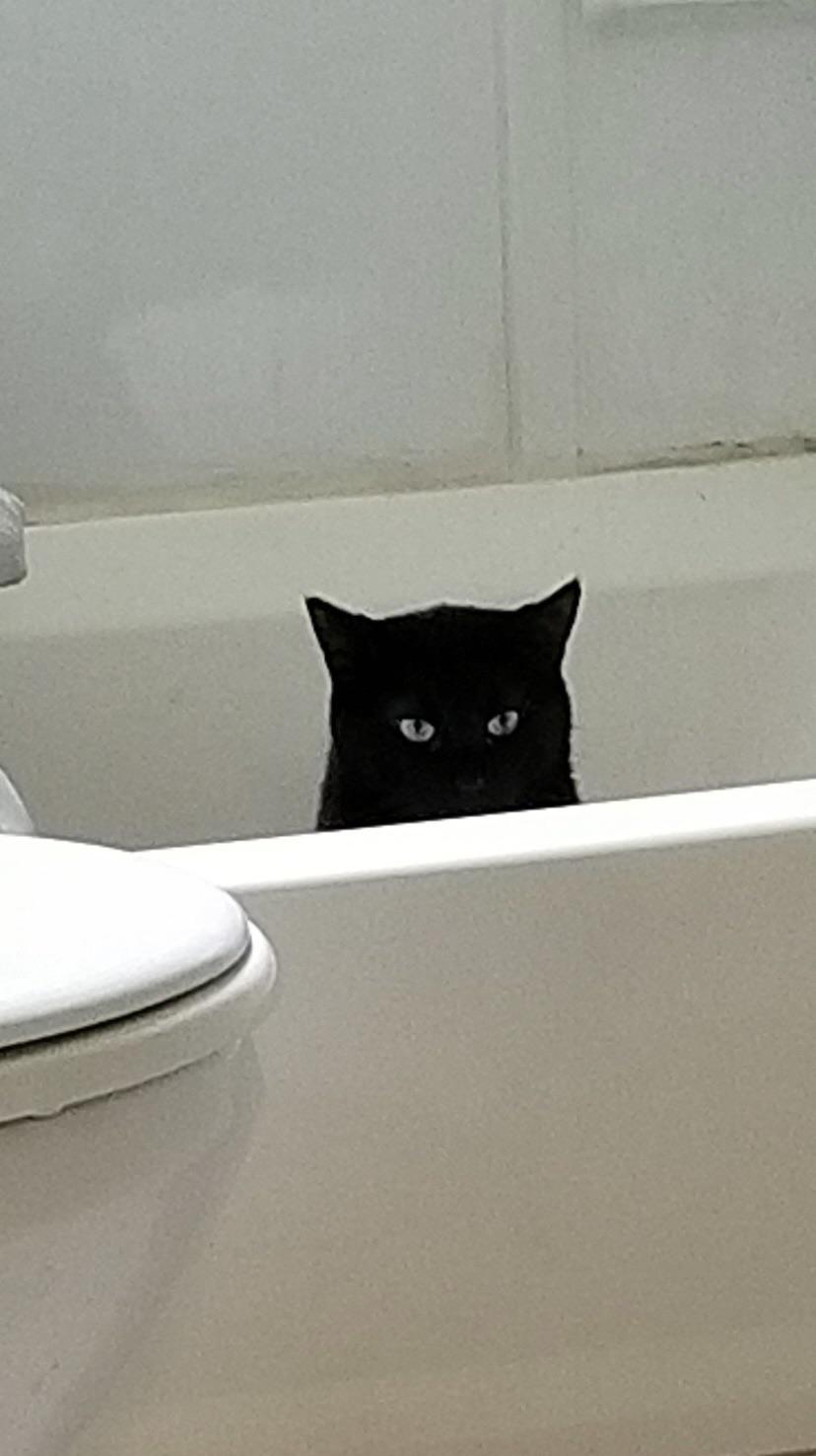 Tub Void | Scrolller