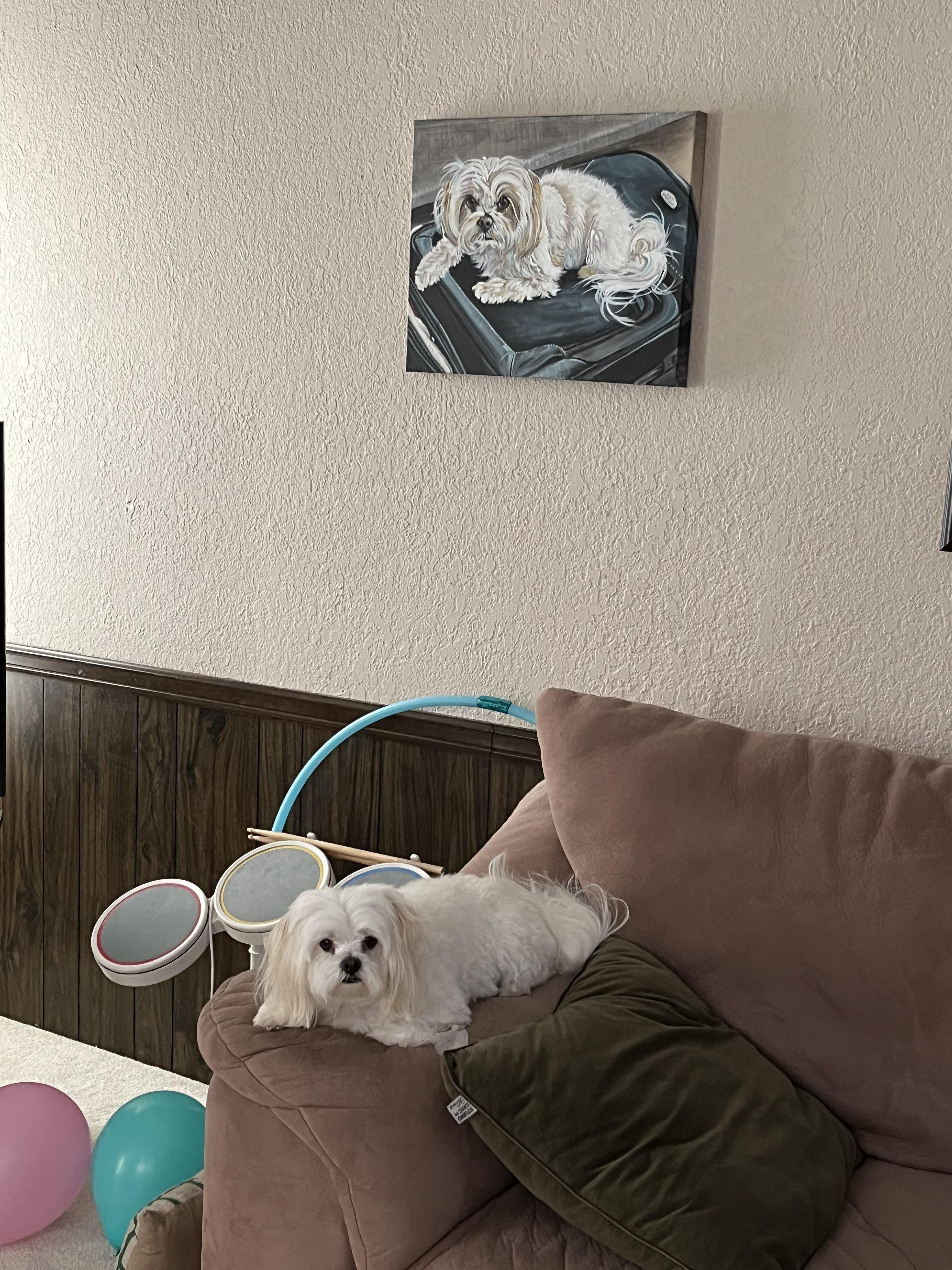 Hold that pose! | Scrolller