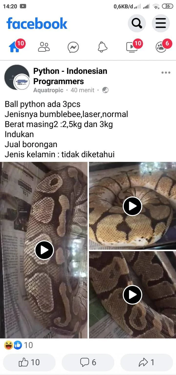 Harus main baldur's gate | Scrolller