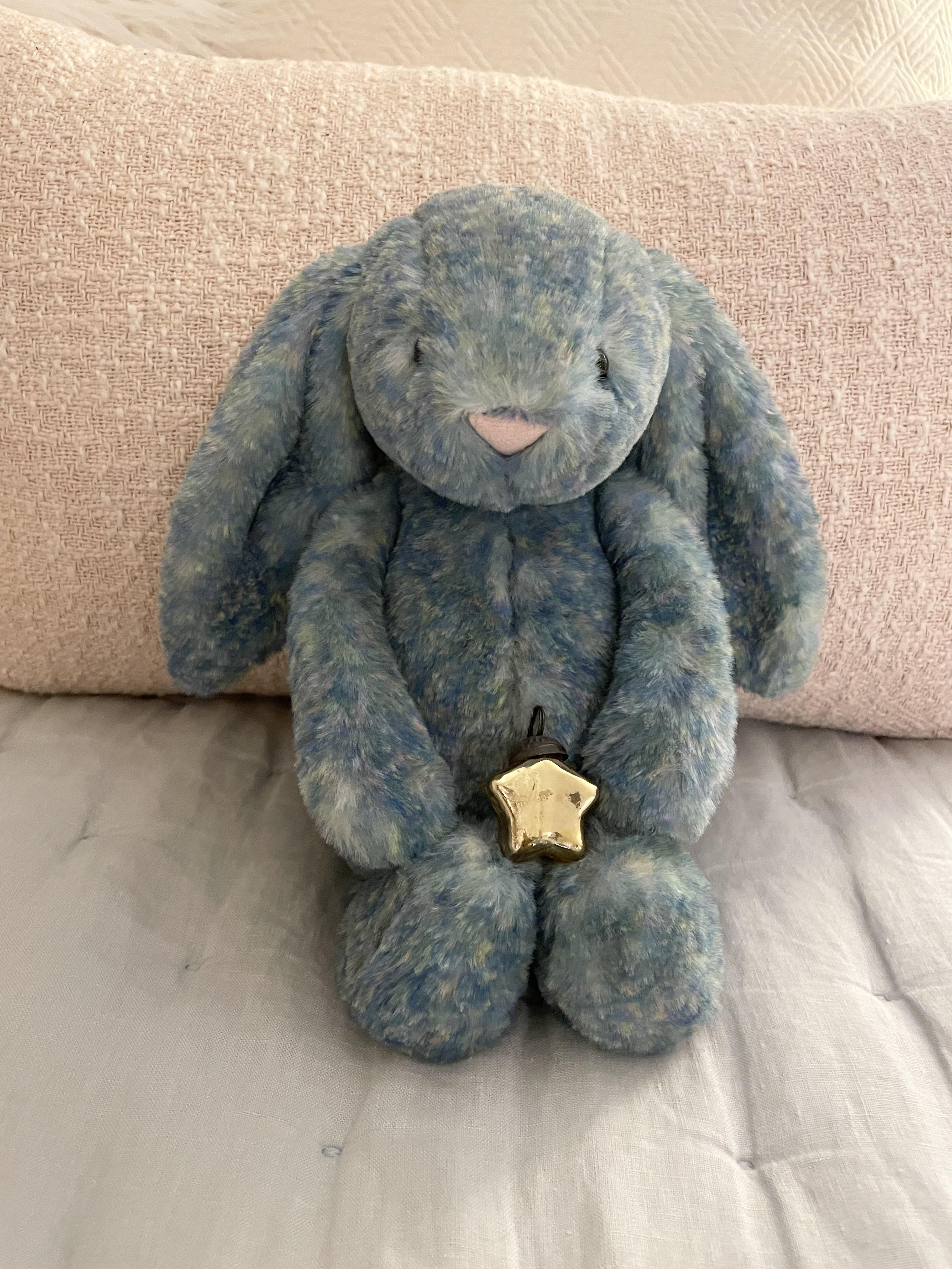 Discover more like Jellycatplush: Finding a shining star and put it in ...