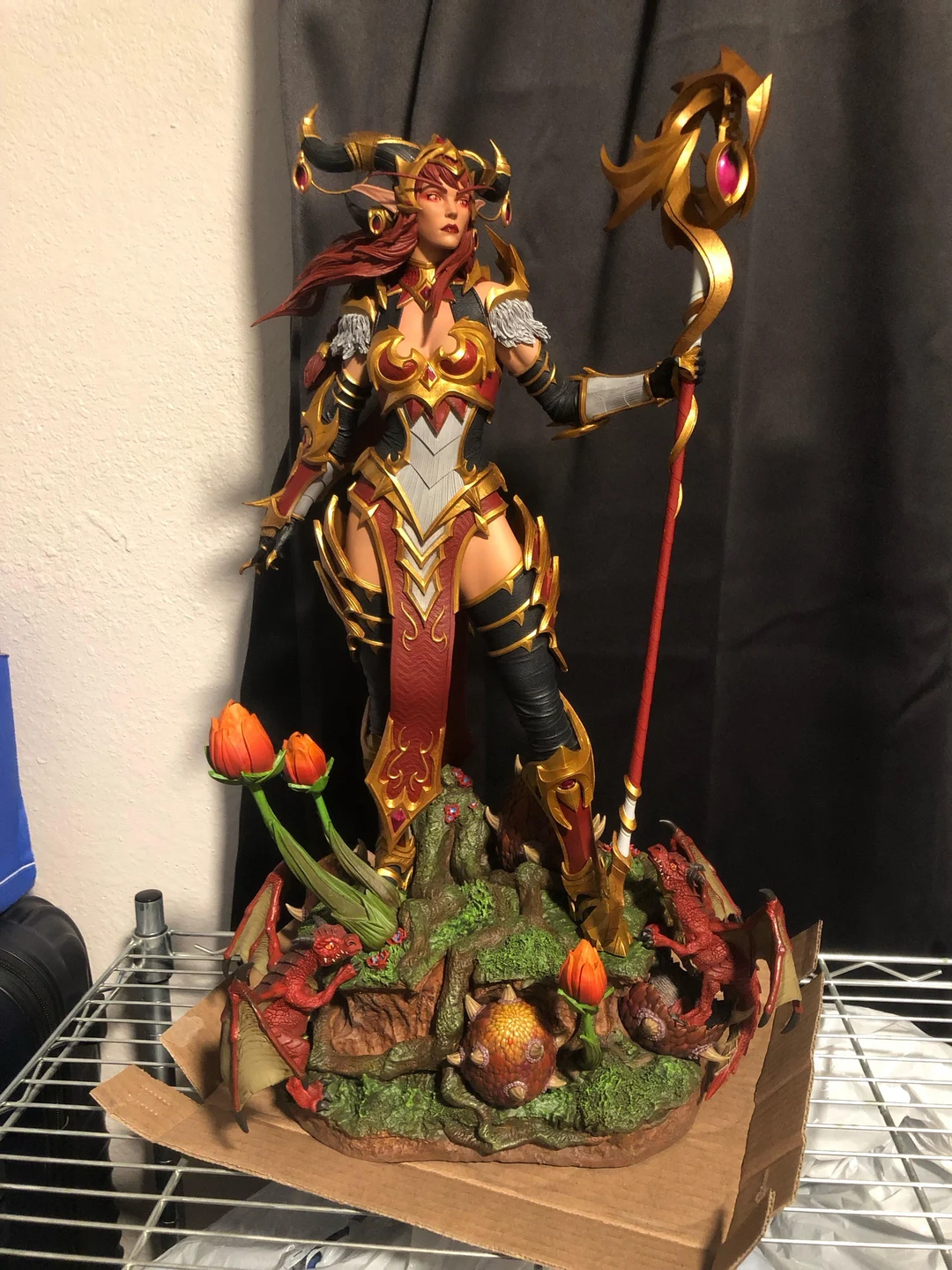 Got this on accident | Scrolller