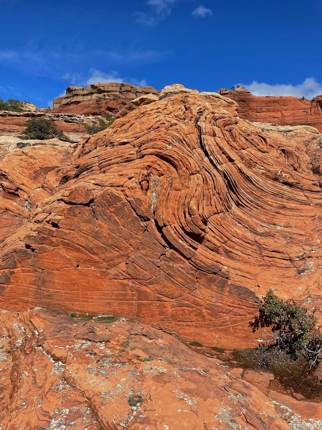 Boynton Canyon, Sedona, Arizona [3024x4032] [OC] | Scrolller