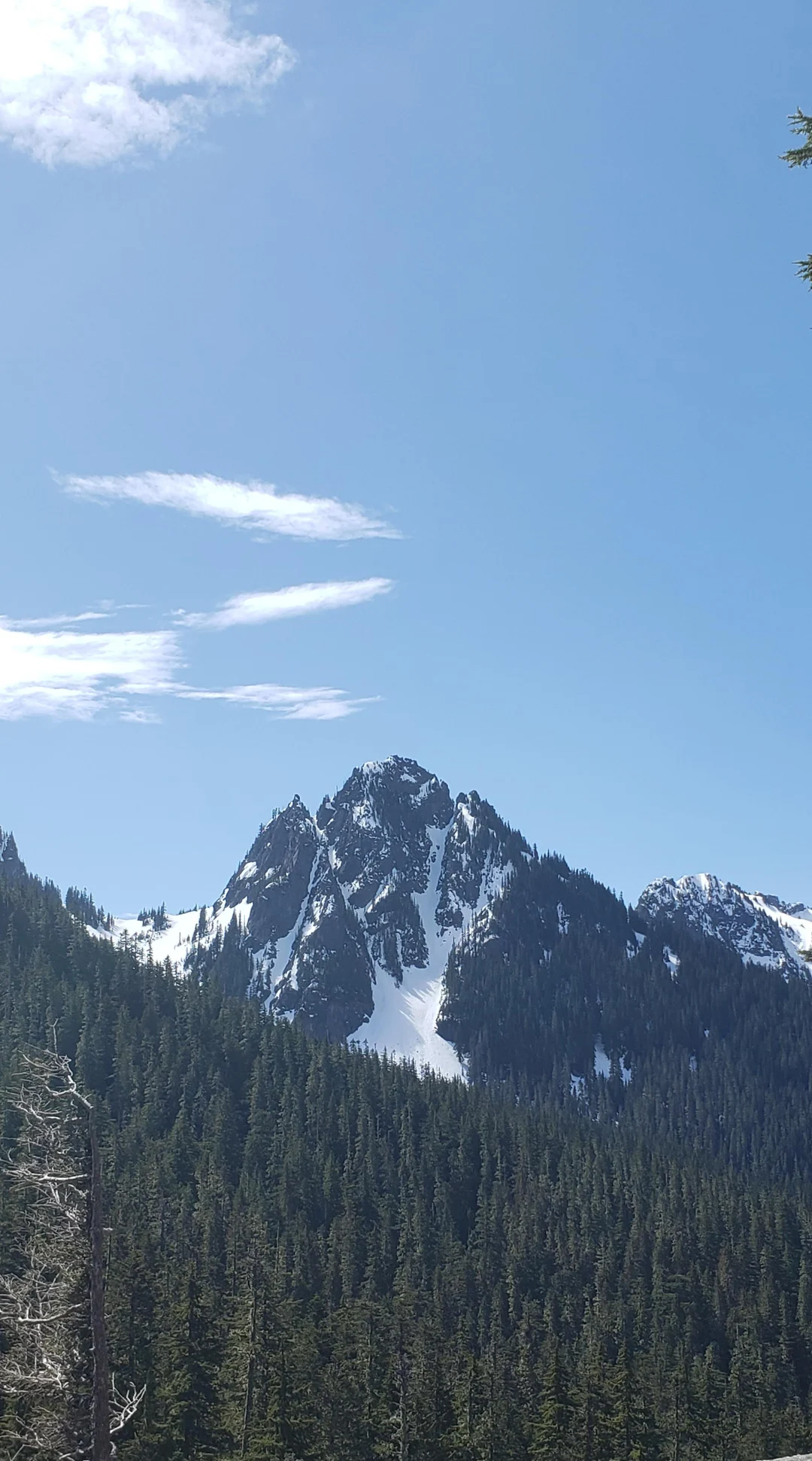 Pinnacle Peak, Mount Rainier National Park. [OC][1960×3524] | Scrolller