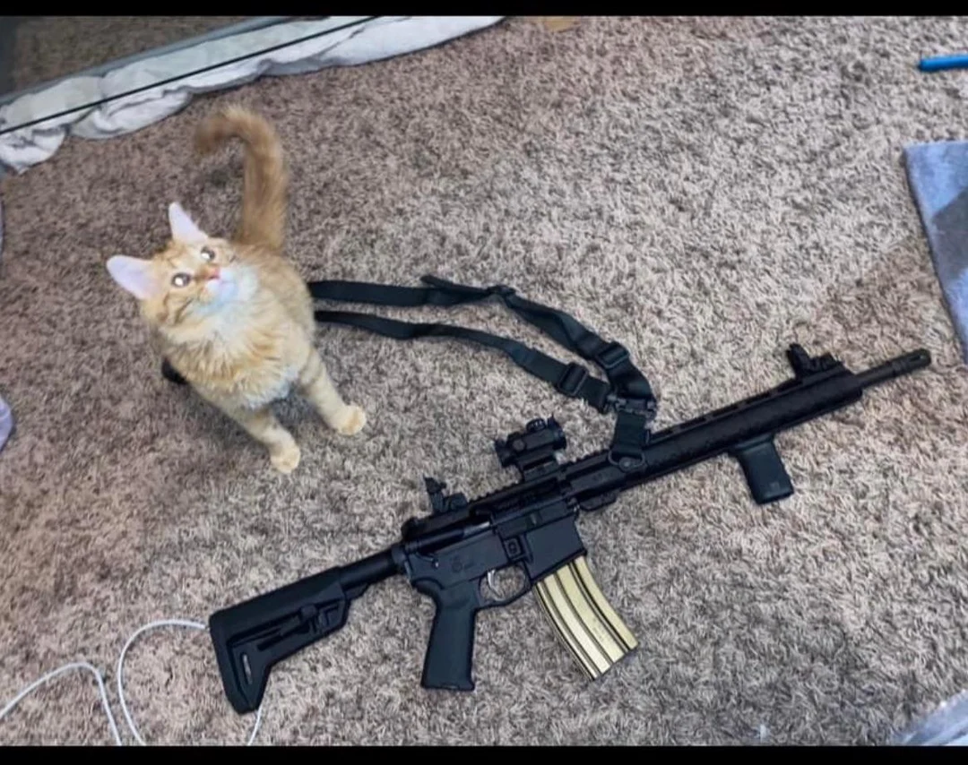 Here gun | Scrolller