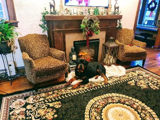 Glamour shot | Scrolller