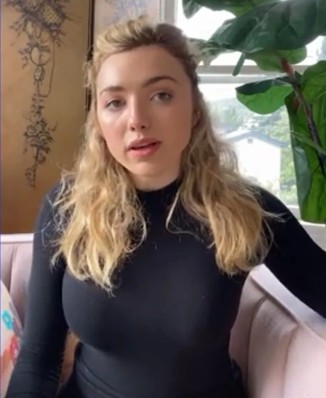 They look so huge | Scrolller