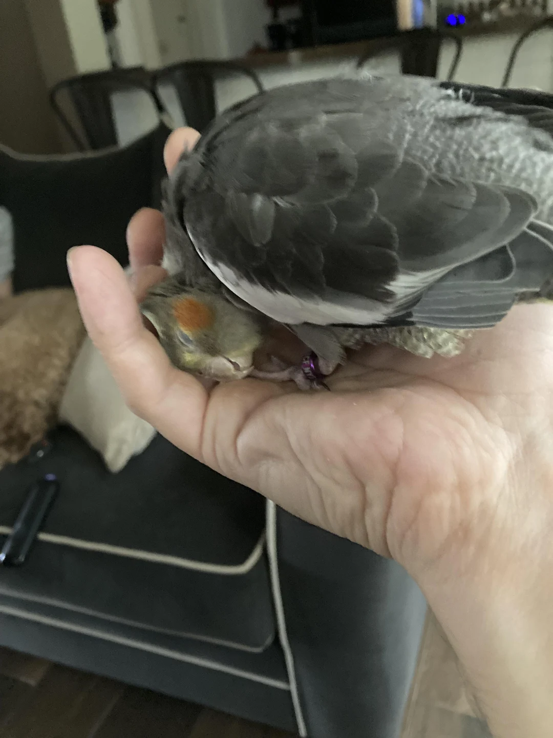 I think she’s broken. | Scrolller