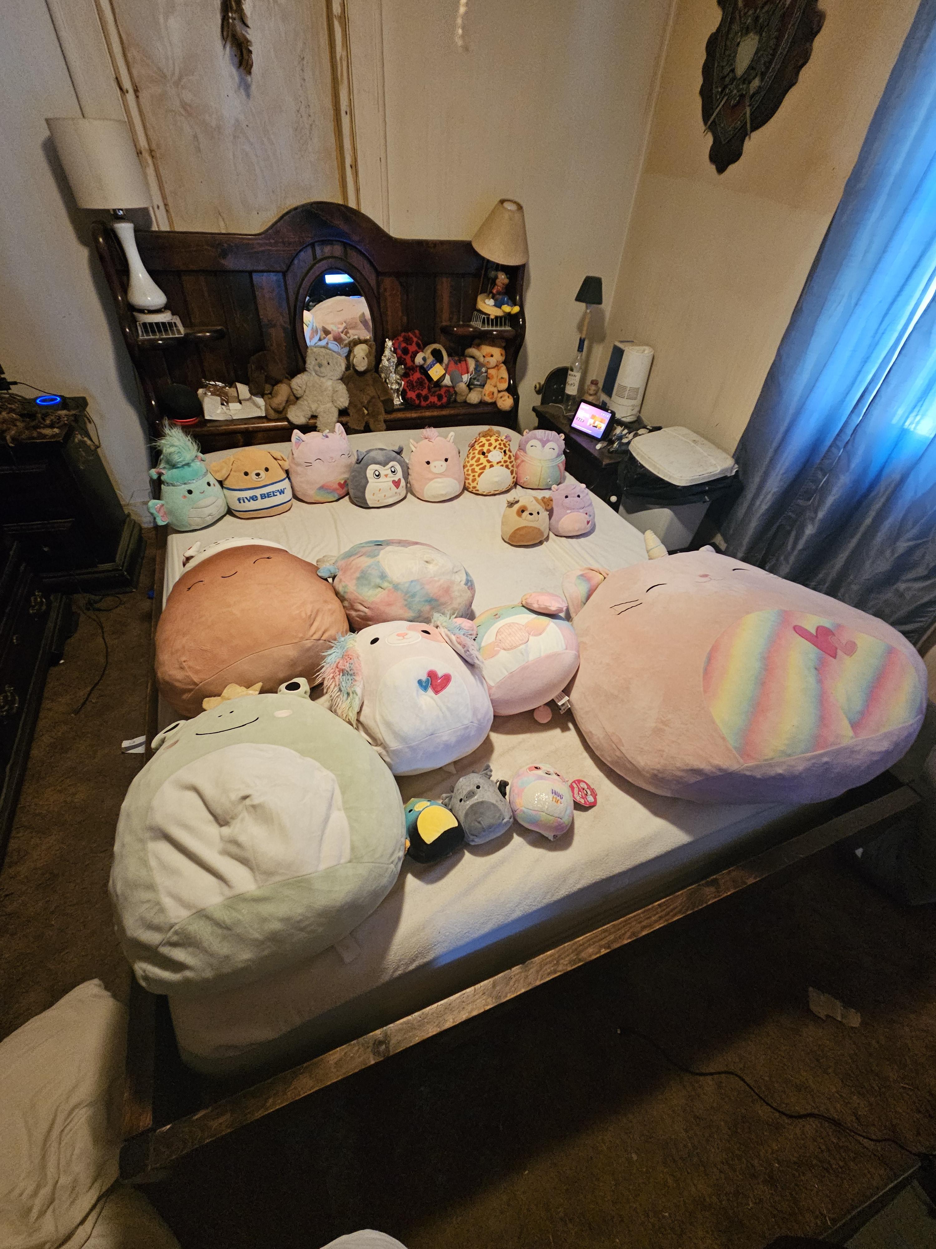 Update on my Squishmallow collection | Scrolller